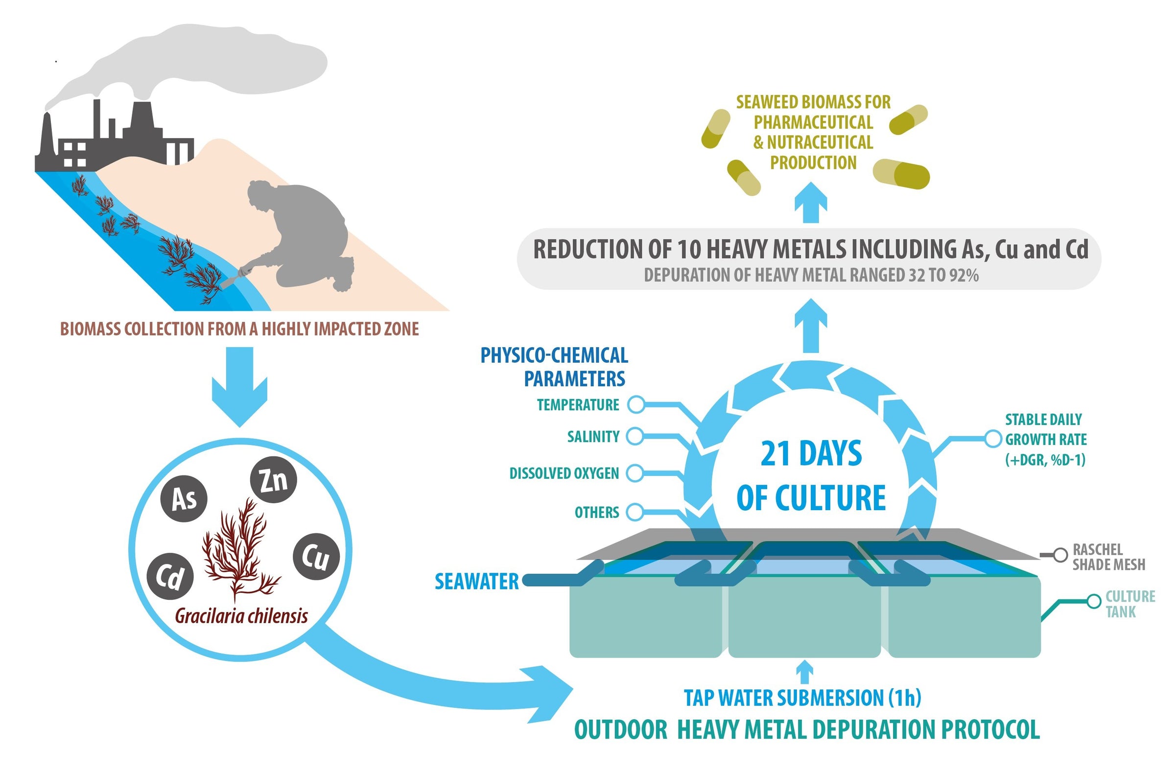 Graphical Abstact – Illustra Scilab