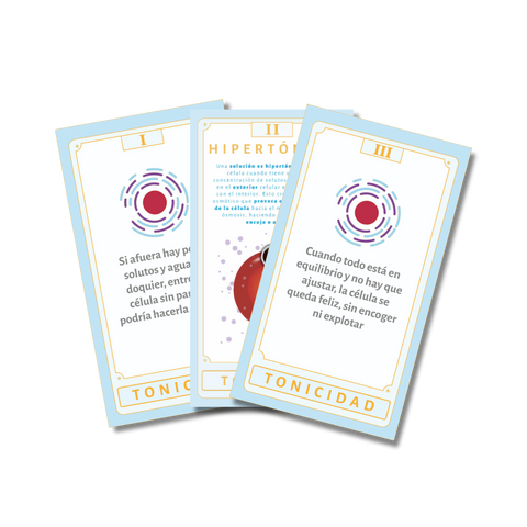 Flashcards animadas – Illustra Scilab