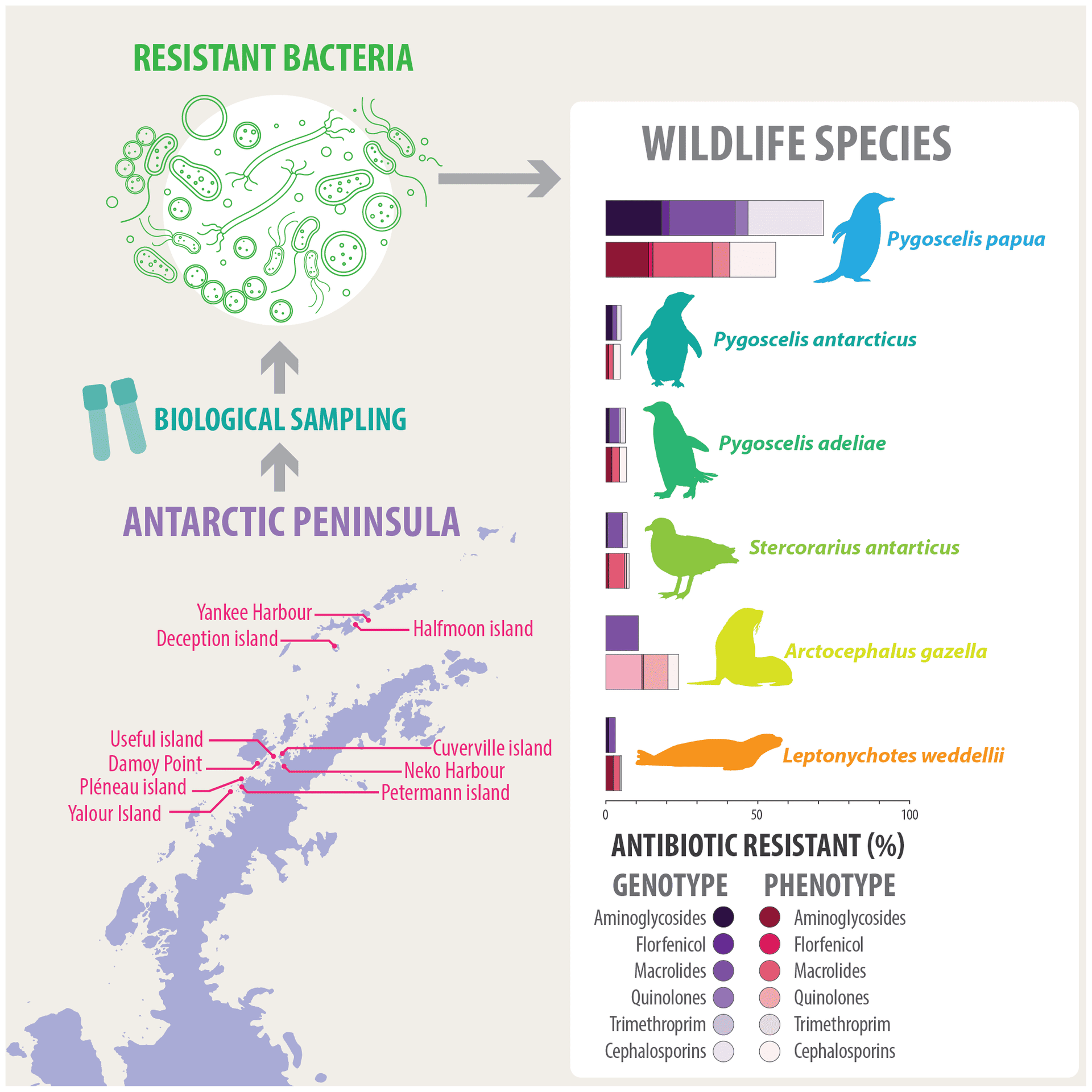 Graphical Abstact – Illustra Scilab