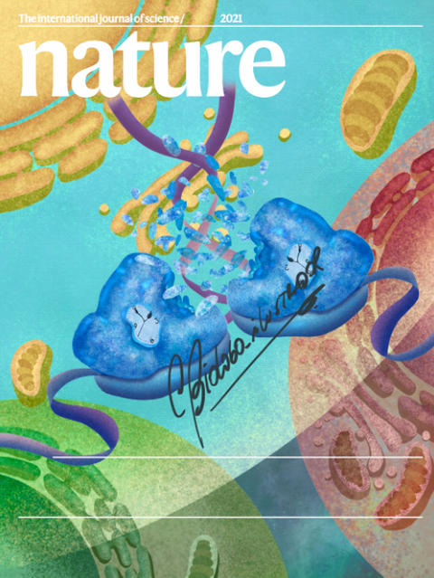 Portadas Científicas-Scientific Covers – Illustra Scilab